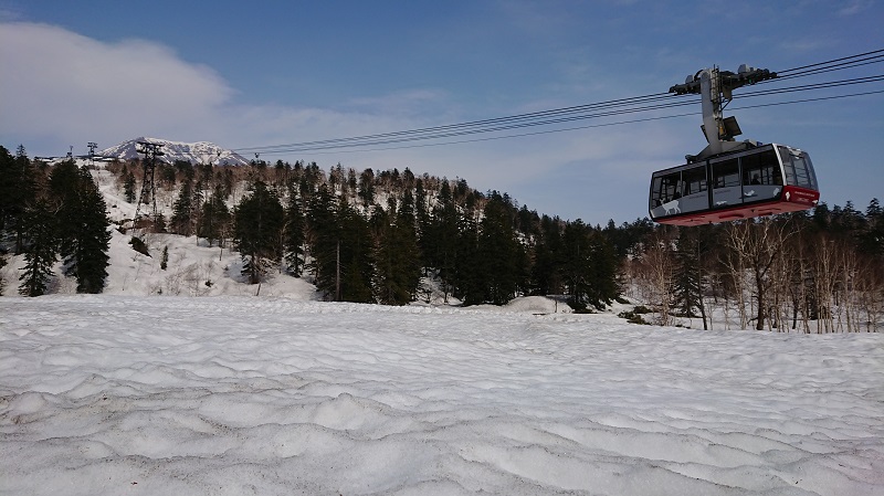 SAKURA＆SNOW | Daisetsuzan Asahidake Ropeway