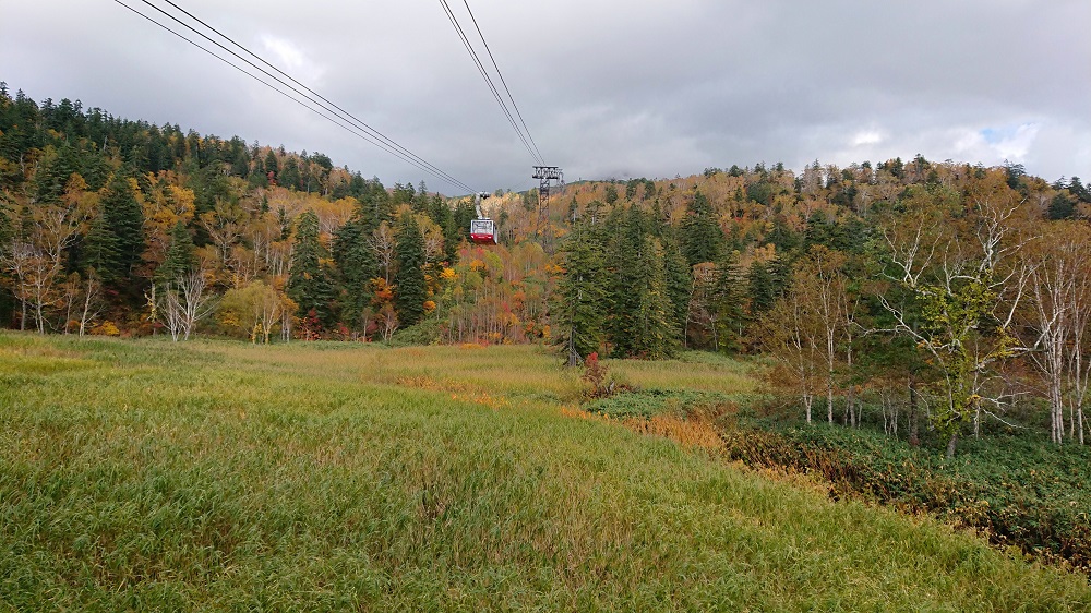 紅葉が麓へ到着 | Daisetsuzan Asahidake Ropeway