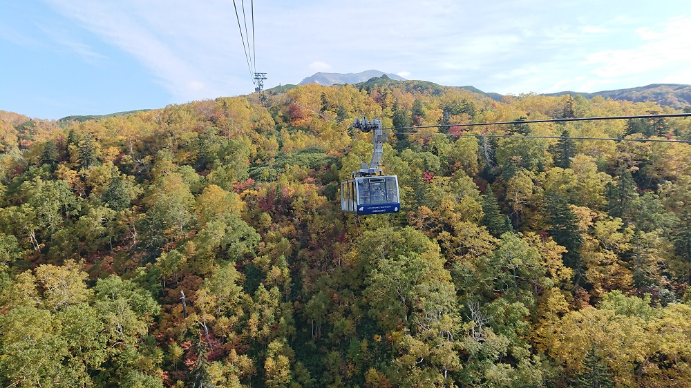 車窓から紅葉のグラデーション！ | Daisetsuzan Asahidake Ropeway
